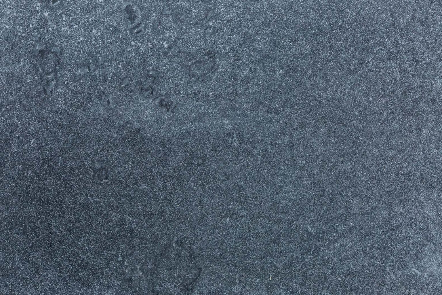 Tiles - BC Stone - Direct Importers of Natural Stone