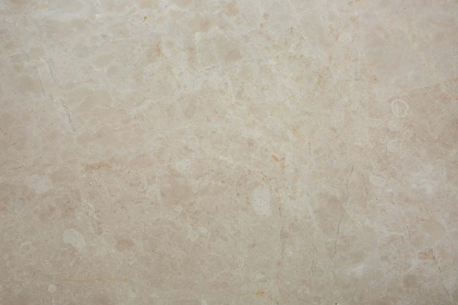 Royal Beige | Tiles - BC Stone - Direct Importers of Natural Stone
